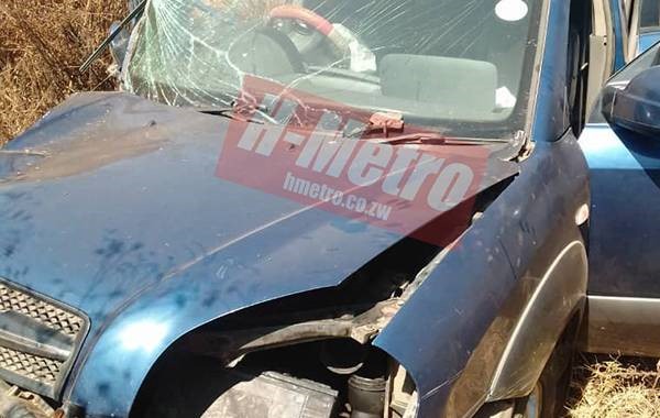 Pinjisi-1 | My Zimbabwe News