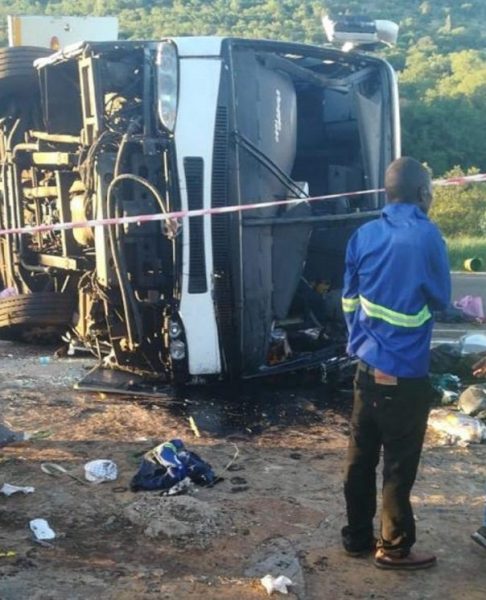 DNC-COACHES2 | My Zimbabwe News