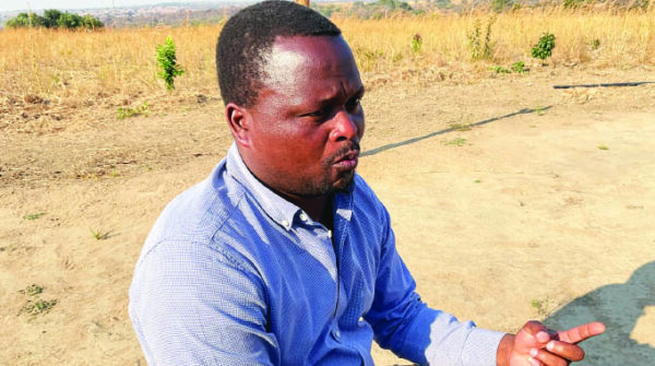 DNA man Tinashe Mugabe’s services to help as War Vet’s son searches for ...