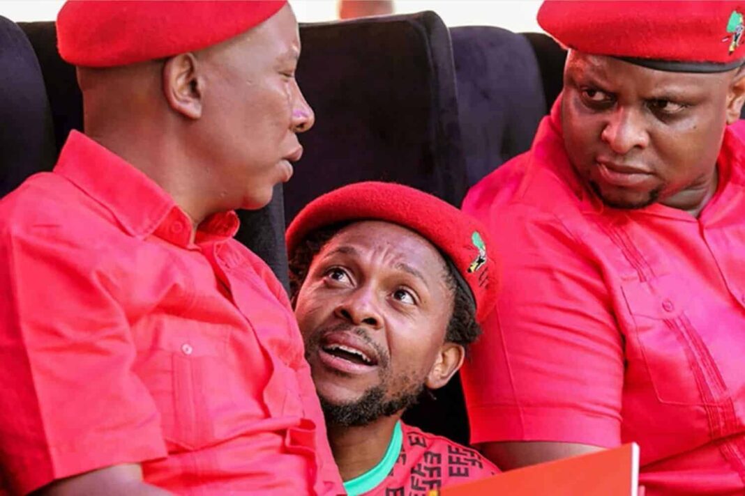 Dr Mbuyiseni Ndlozi’s way forward REVEALED after resigning from EFF, he ...