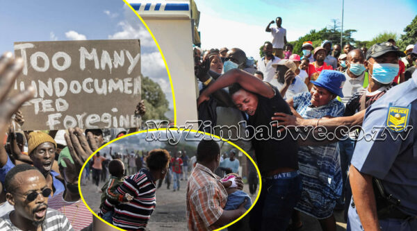 Chased like dogs as Ramaphosa unveils crackdown: Zimbabweans flee to ...