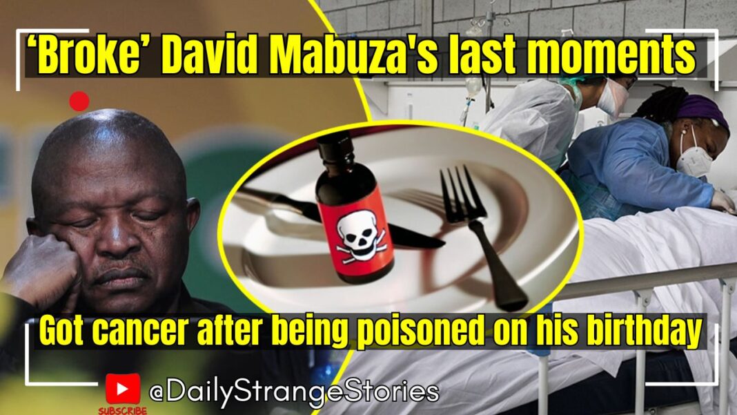 “See you later”: Poisoned David Mabuza’s last words to his wife after ...