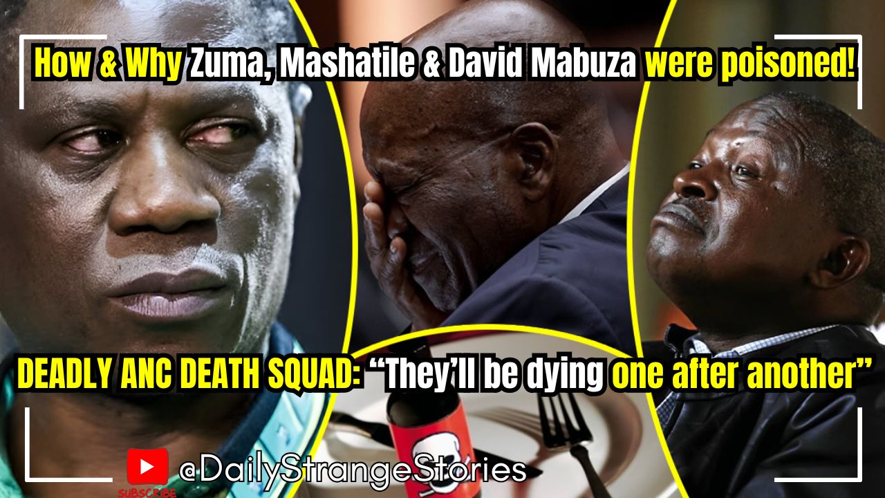 Killing them 1 by 1: How Jacob Zuma, Paul Mashatile, David Mabuza, Morgan Tsvangirai & President ...