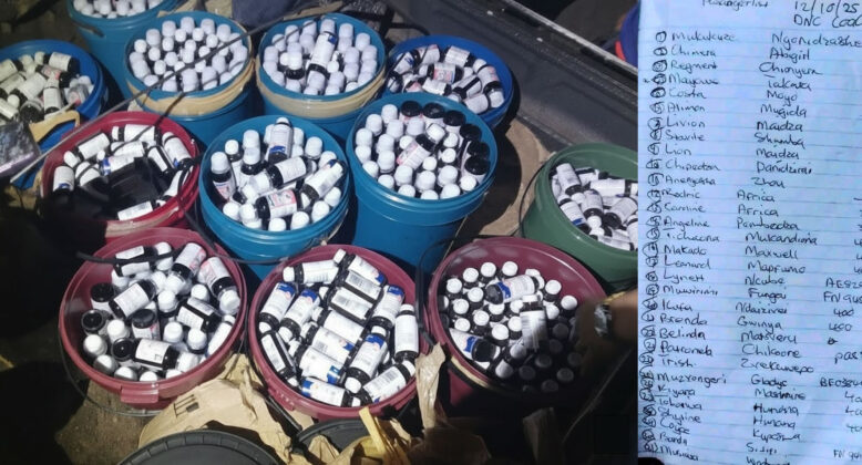 Names of 43 Zimbabweans who died in bus crash revealed… Lots of ARV ...